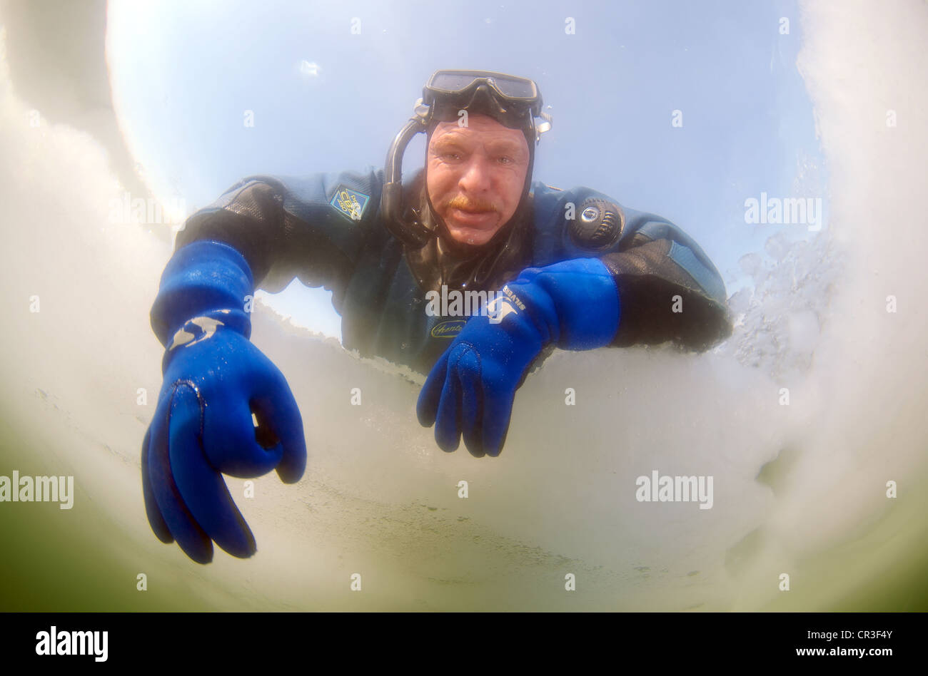 Diver's hand giving the OK sign, subglacial diving, ice diving, in the ...