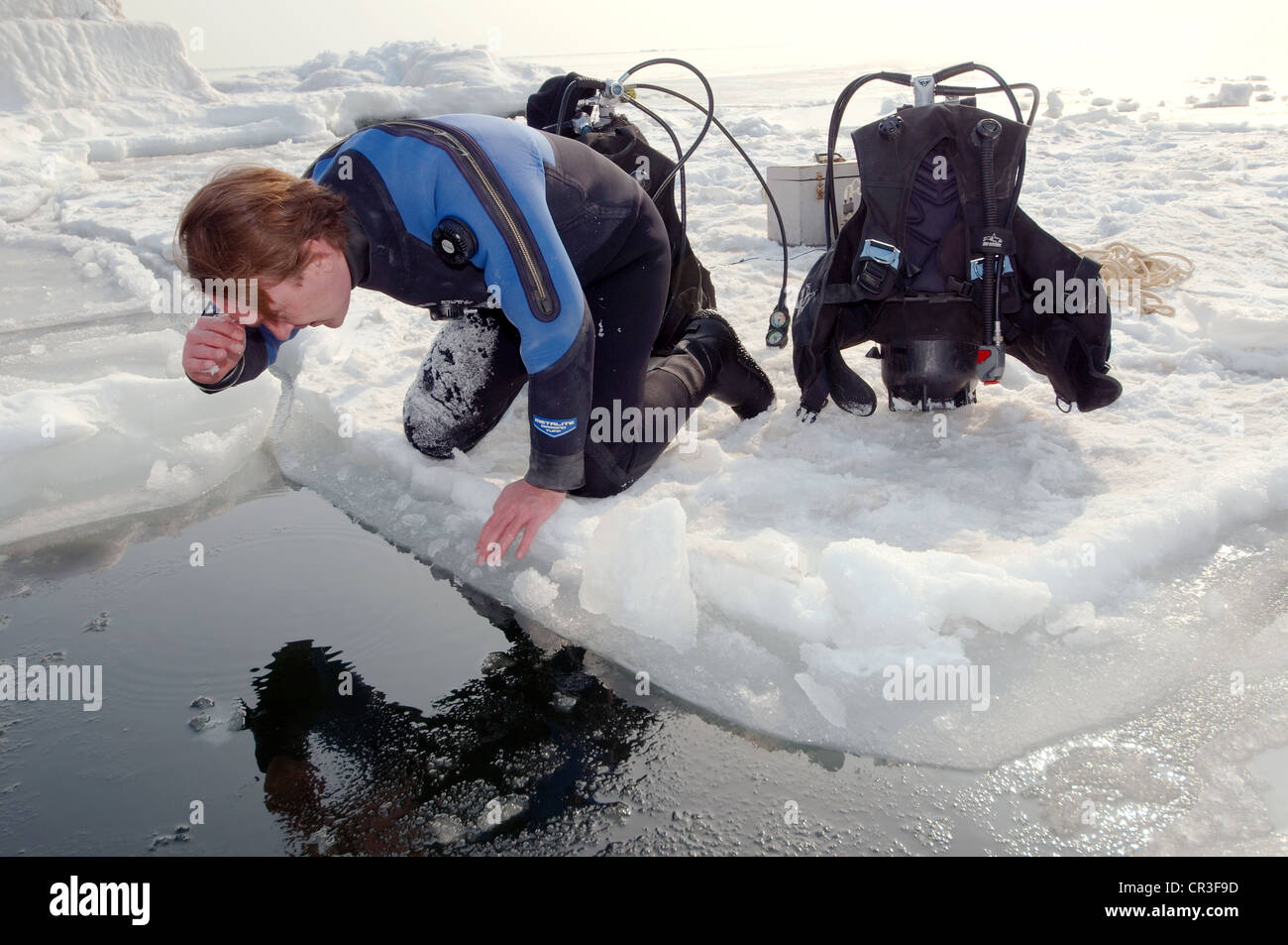 Diver, preparing for subglacial diving, ice diving, in the frozen Black ...