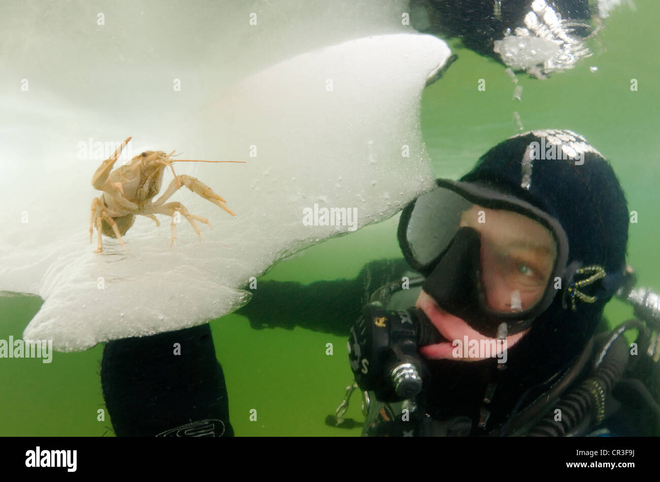 Diver, subglacial diving, ice diving, in the frozen Black Sea, a rare ...