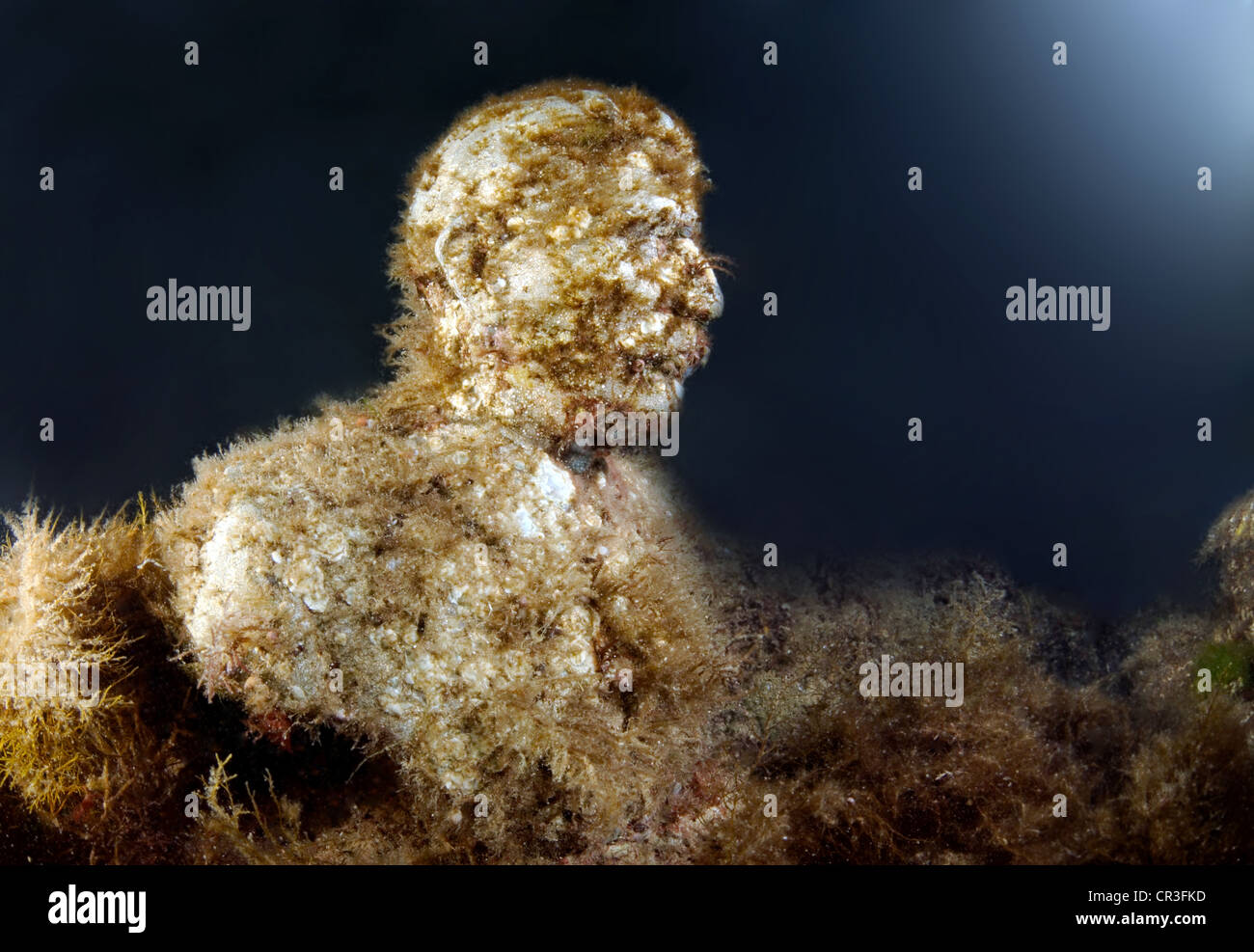 Underwater museum "Reddening leaders", Joseph Vissarionovich Stalin ...