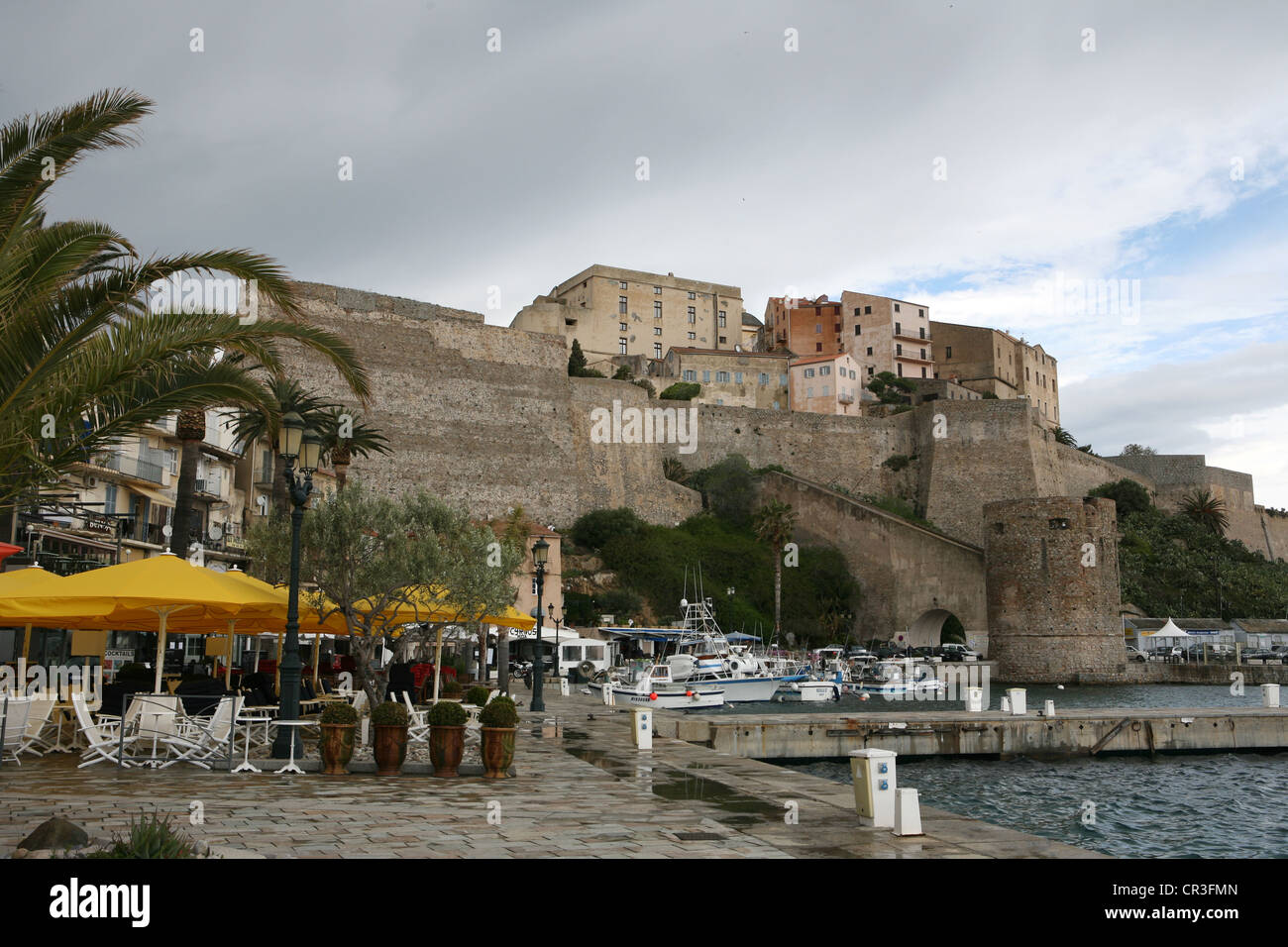 Calvi Marina and old town citadel Corsica France Stock Photo - Alamy