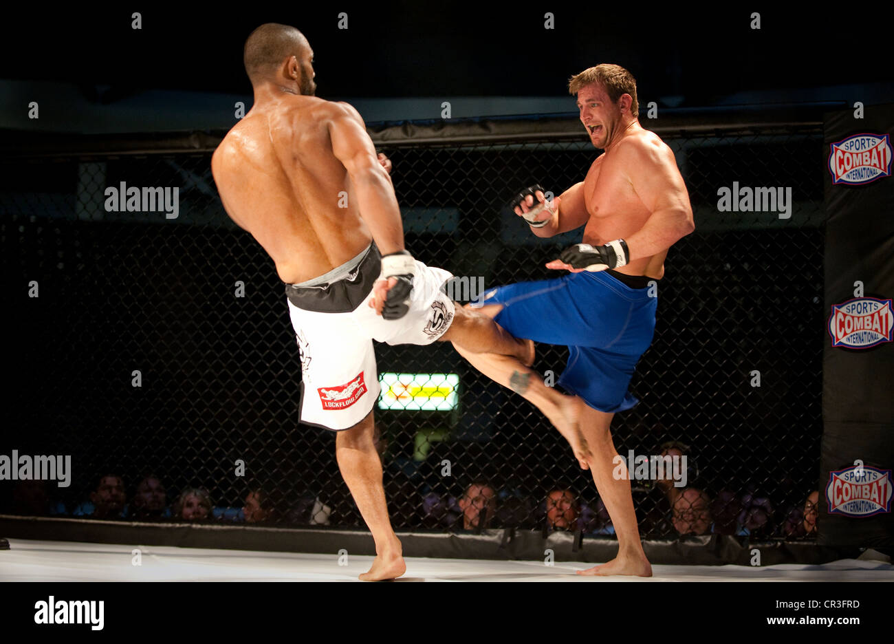 Mario miranda hi-res stock photography and images - Alamy