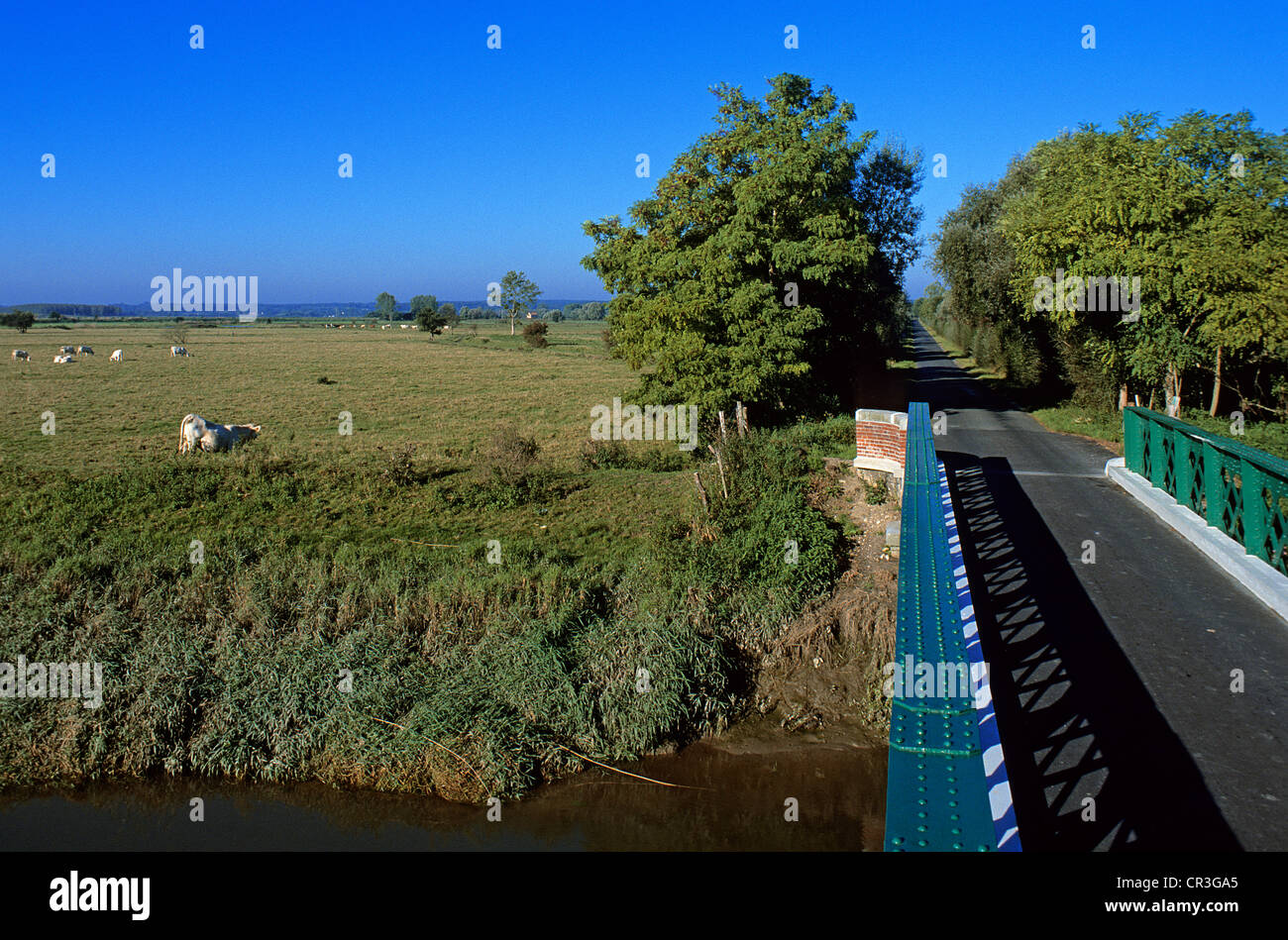 Dives marshland hi-res stock photography and images - Alamy