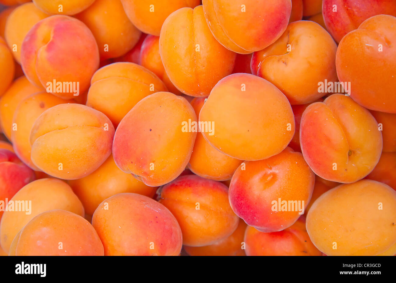 Bright ripe apricots on the market Stock Photo - Alamy