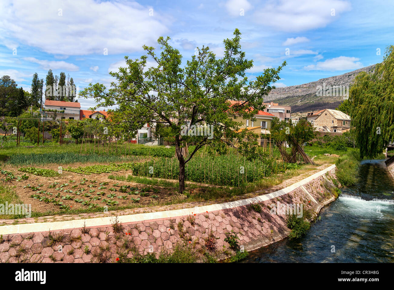 Gardens at Solin, Croatia Stock Photo - Alamy