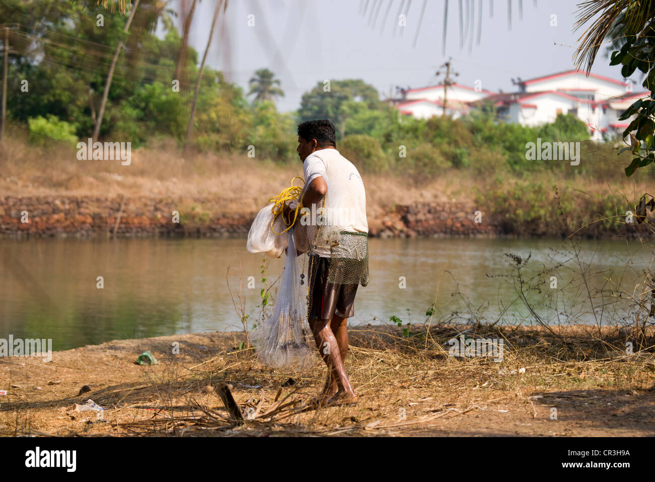 A man net fishing in the lagoons of Arpora, Goa Stock Photo - Alamy