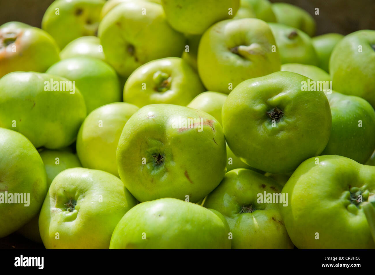 Cooking science hi-res stock photography and images - Alamy