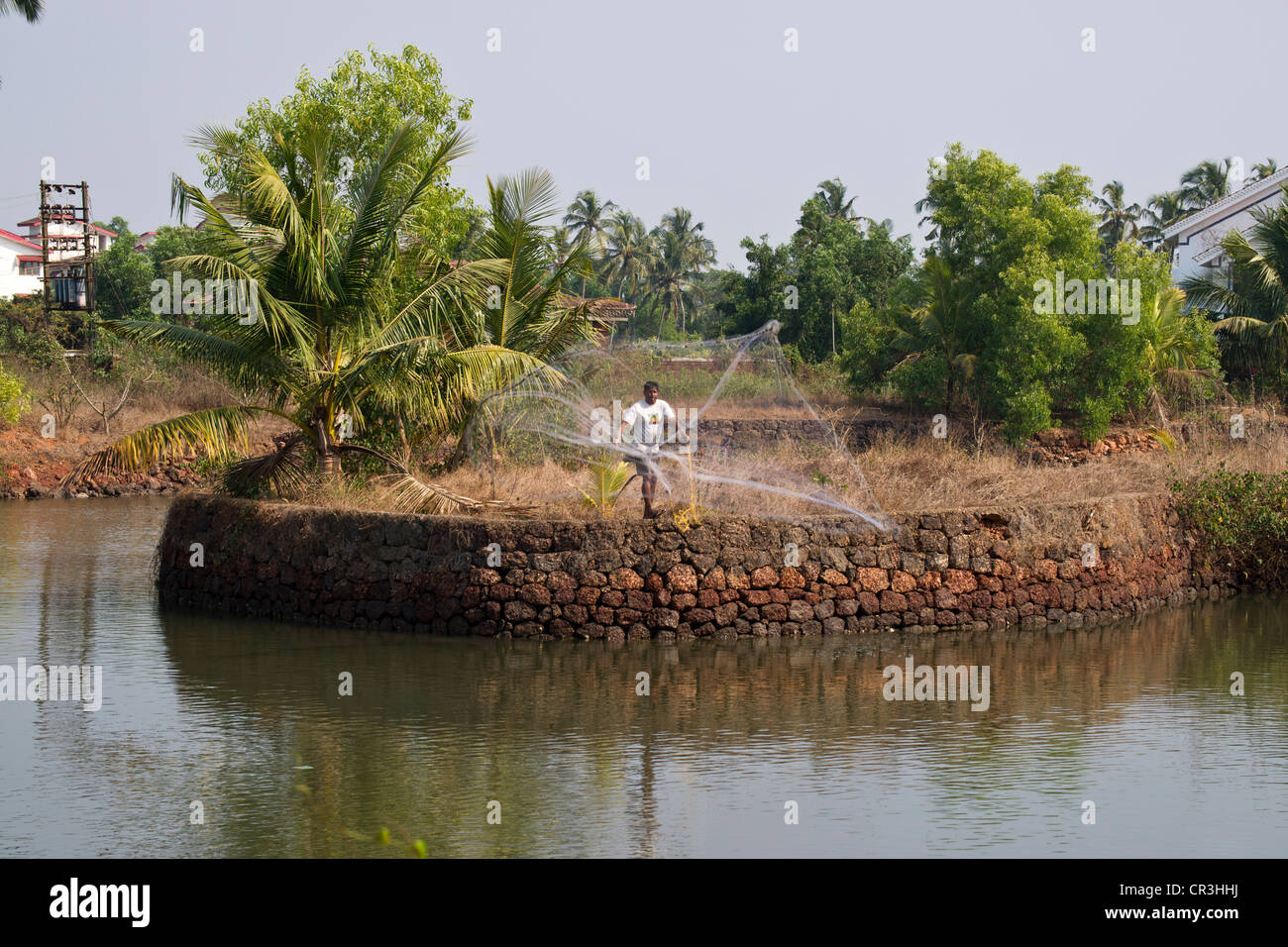 A man net fishing in the lagoons of Arpora, Goa Stock Photo - Alamy