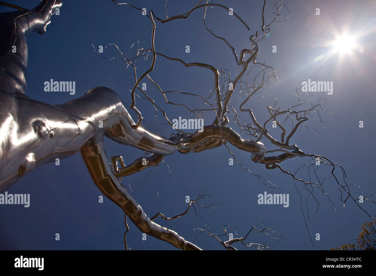 Graft art hi-res stock photography and images - Alamy