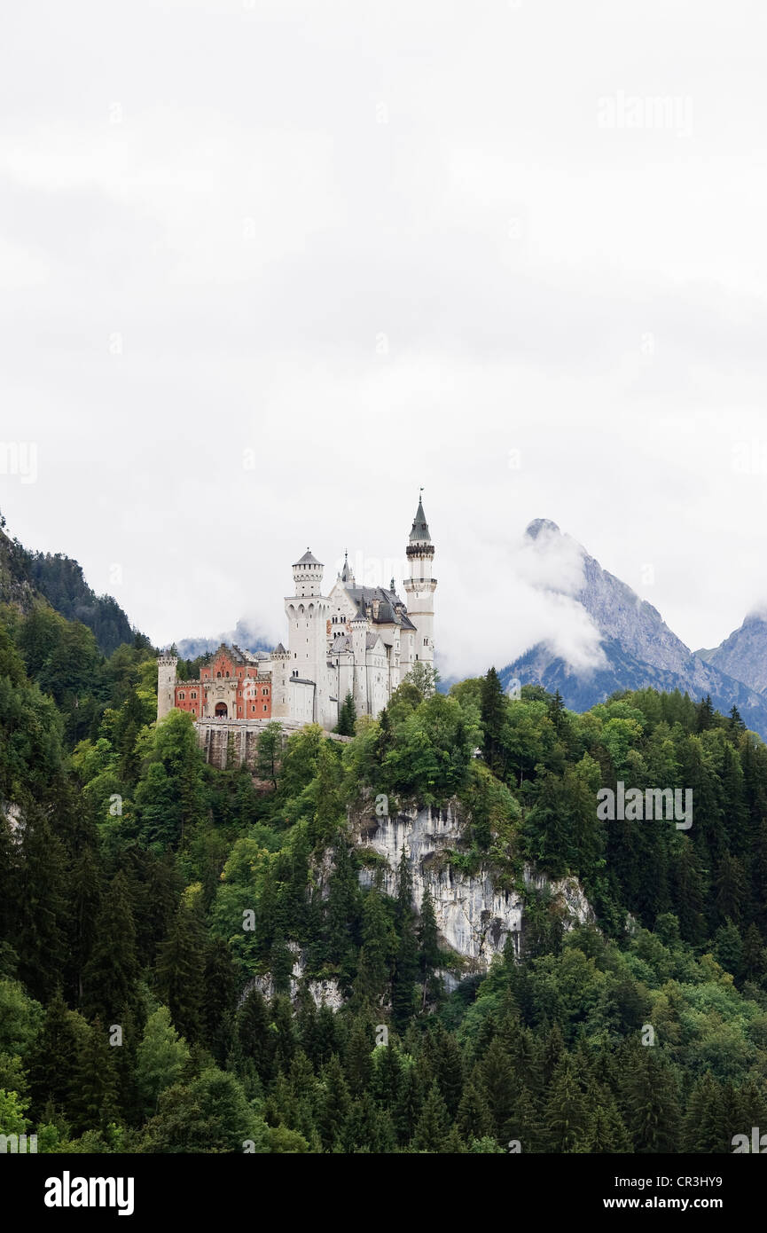 Neuschwanstein Castle near Fuessen, Allgaeu, Bavaria, Germany, Europe ...