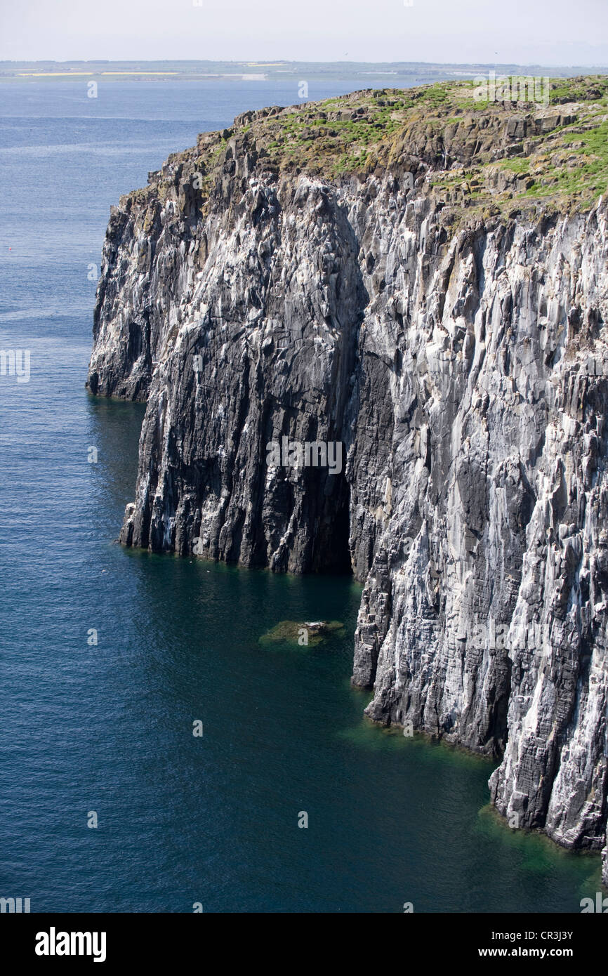 Cliffs of the Isle of May Scotland Stock Photo - Alamy