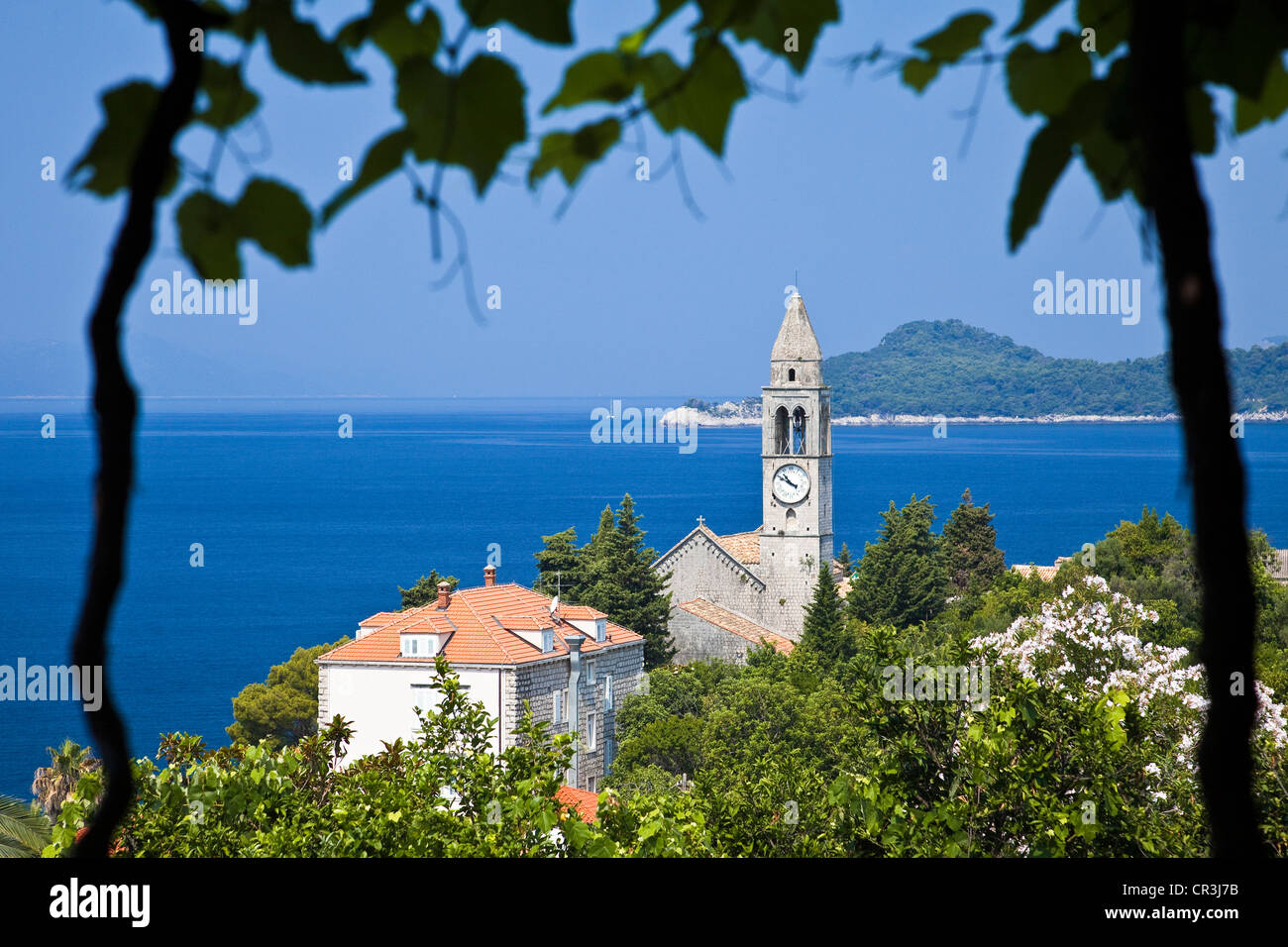 Lopud island dalmatia hi-res stock photography and images - Alamy