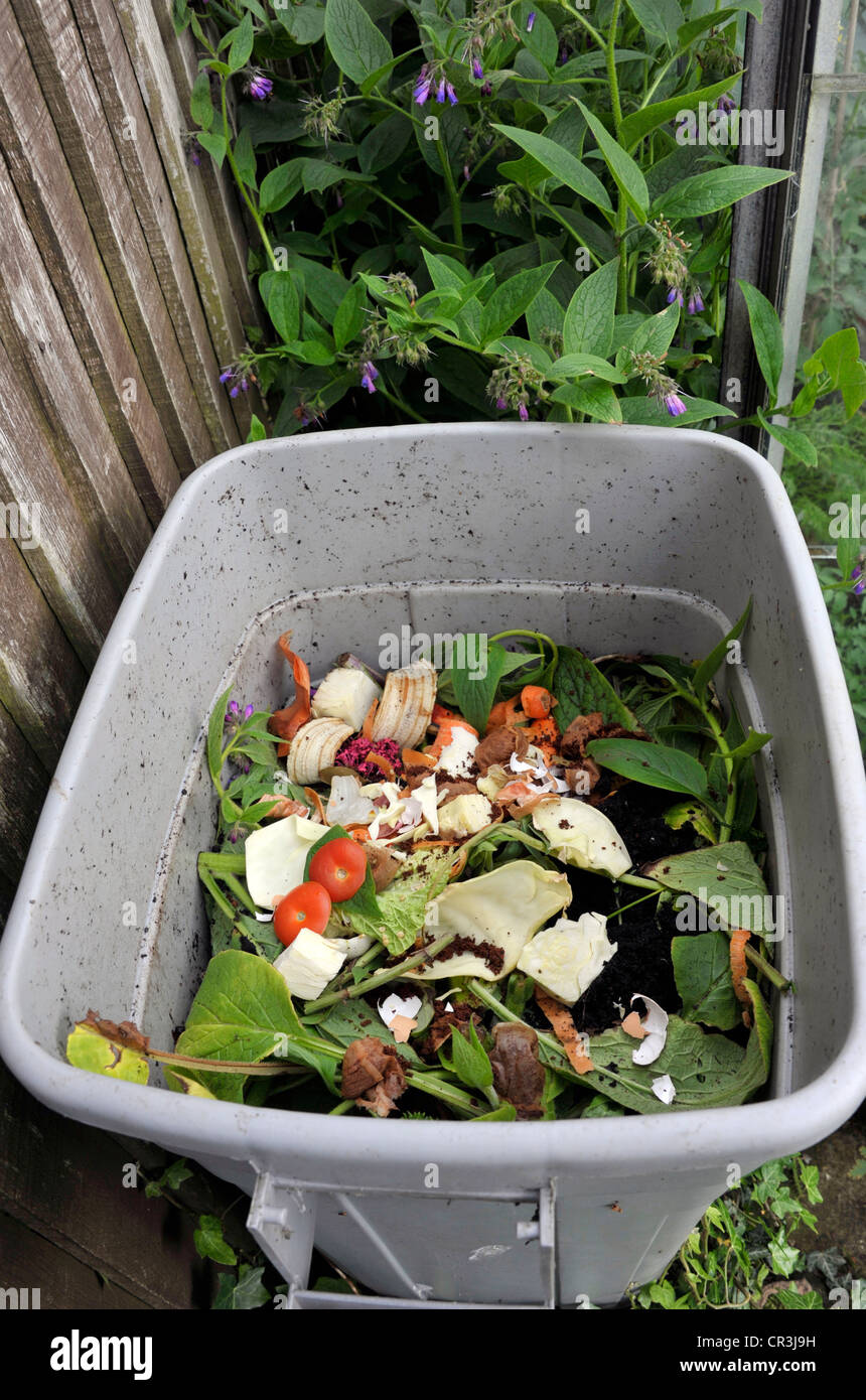Vegetable waste inside a wormery Stock Photo - Alamy