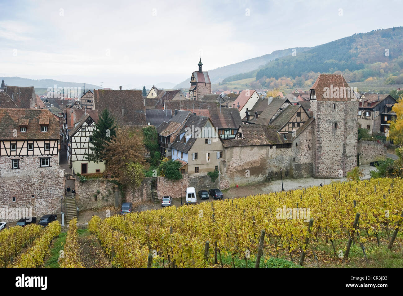 Riquewihr, north of Colmar, Alsace, France, Europe Stock Photo - Alamy