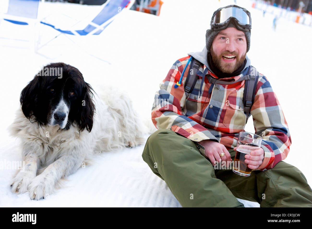 Skier sat on piste drinking pint of beer with dog lying next to him ...
