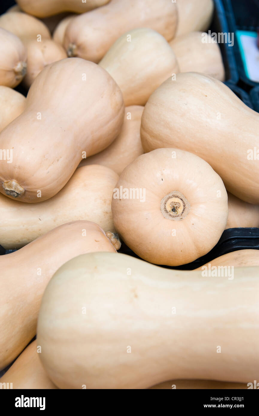 Bell squash hi-res stock photography and images - Alamy