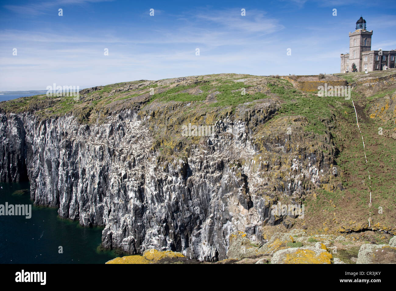 The Isle of May, Scotland Stock Photo - Alamy