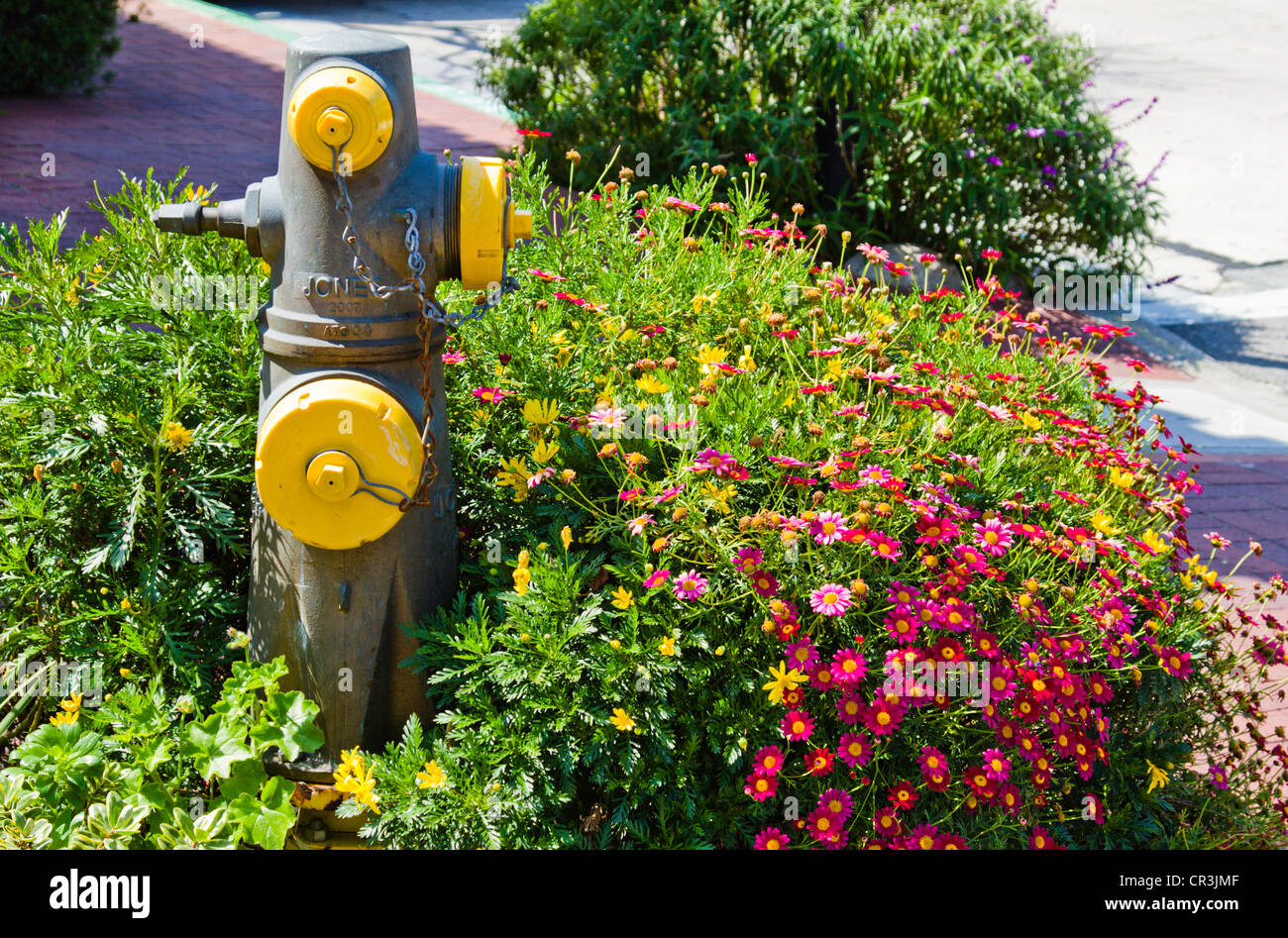 Decorated fire hydrant in bed of flowers Stock Photo - Alamy