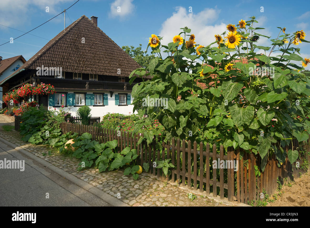Farmhouse europe hi-res stock photography and images - Alamy