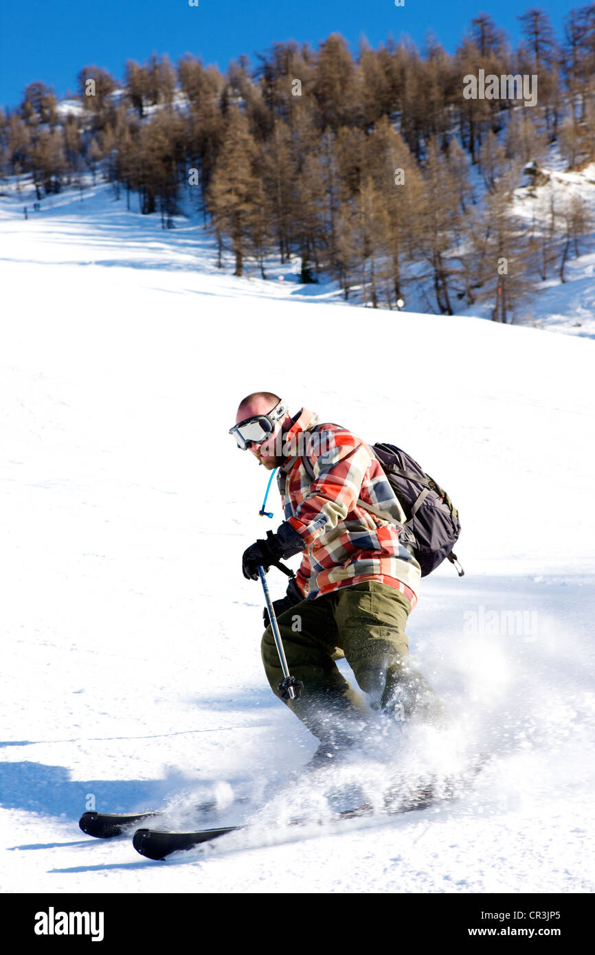 Skier parallel turn on piste on sunny day with trees in background ...