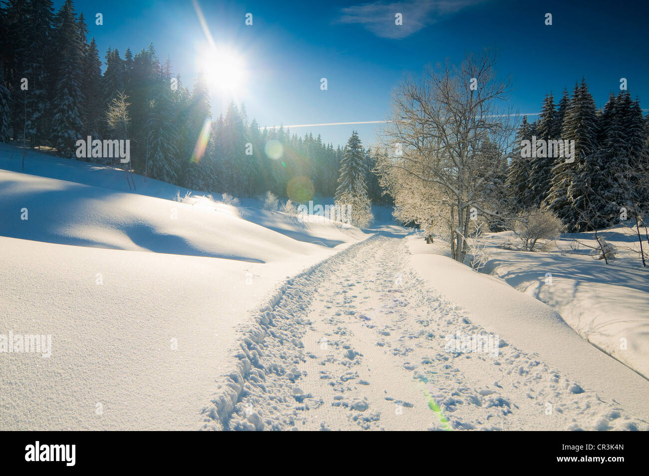 Landscape mountain snow covered hi-res stock photography and images - Alamy