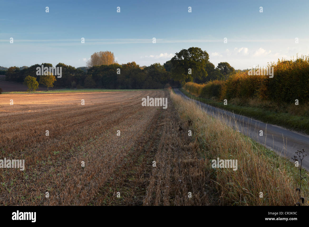 Antingham hi-res stock photography and images - Alamy