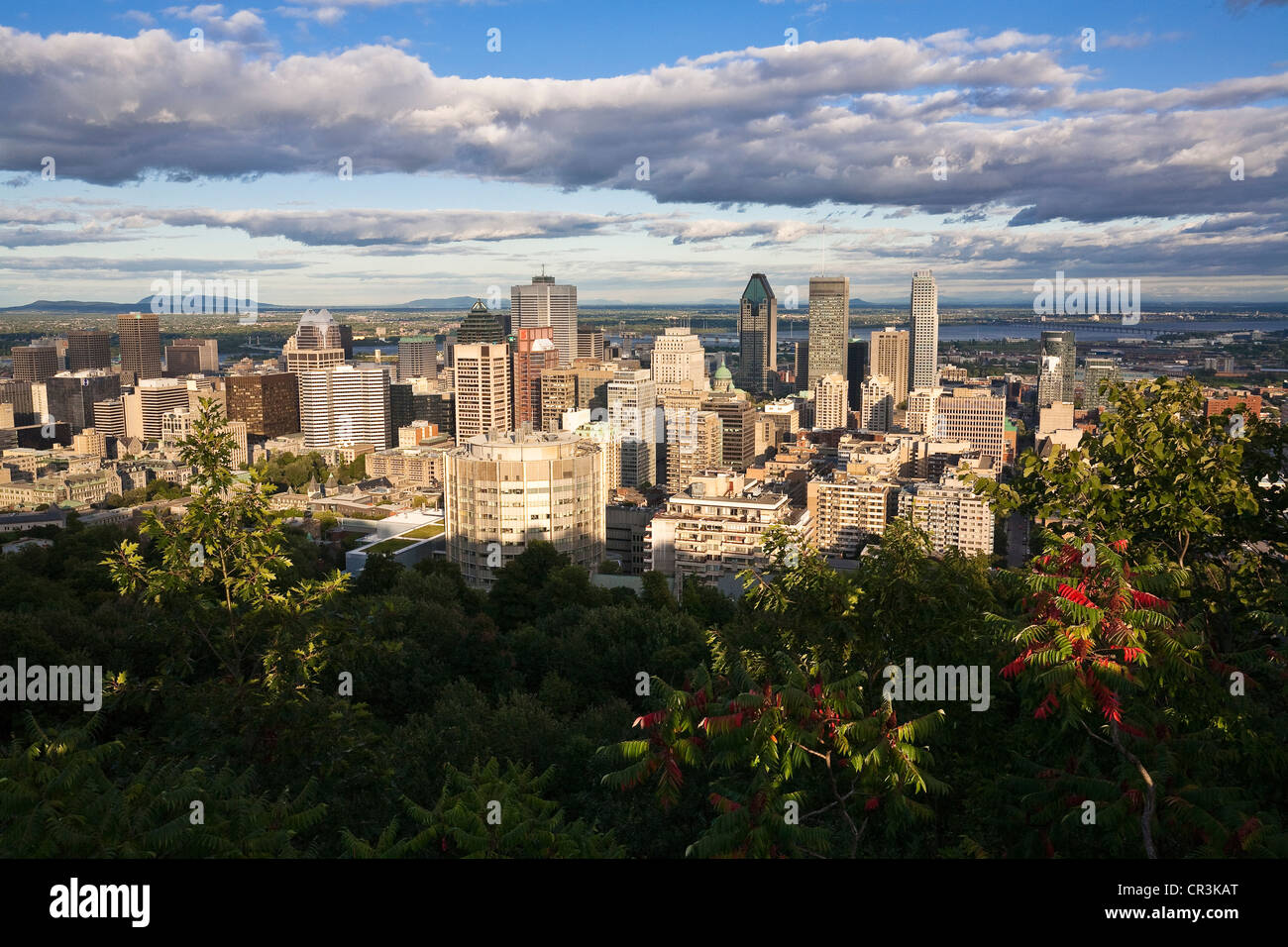 Canada, Quebec Province, Montreal, view of the downtown skyscrapers ...