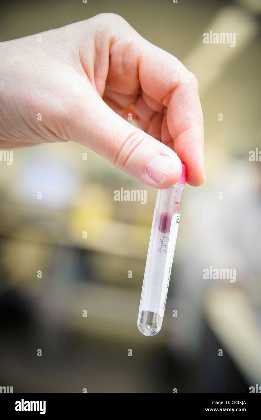 test tube in laboratory Stock Photo - Alamy