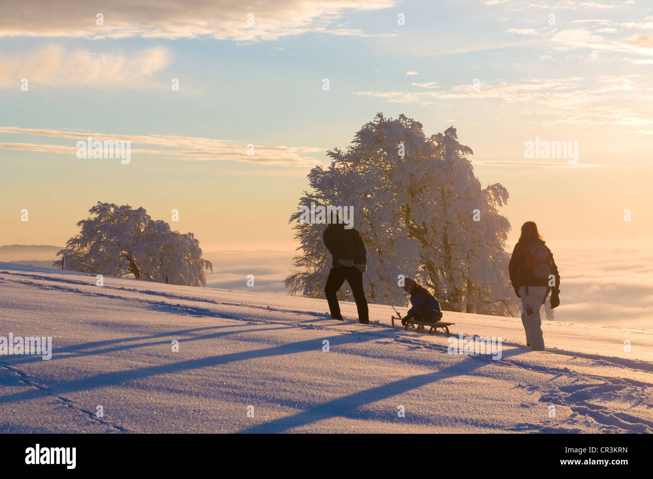 Winter landscape, family with a sled on Mt Schauinsland, Freiburg im ...