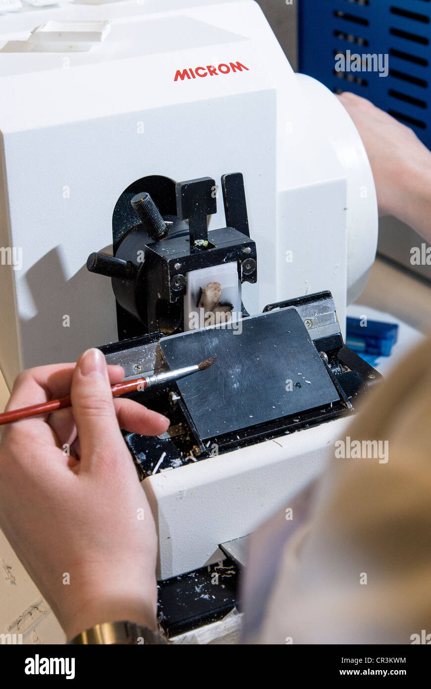 Labo hi-res stock photography and images - Alamy