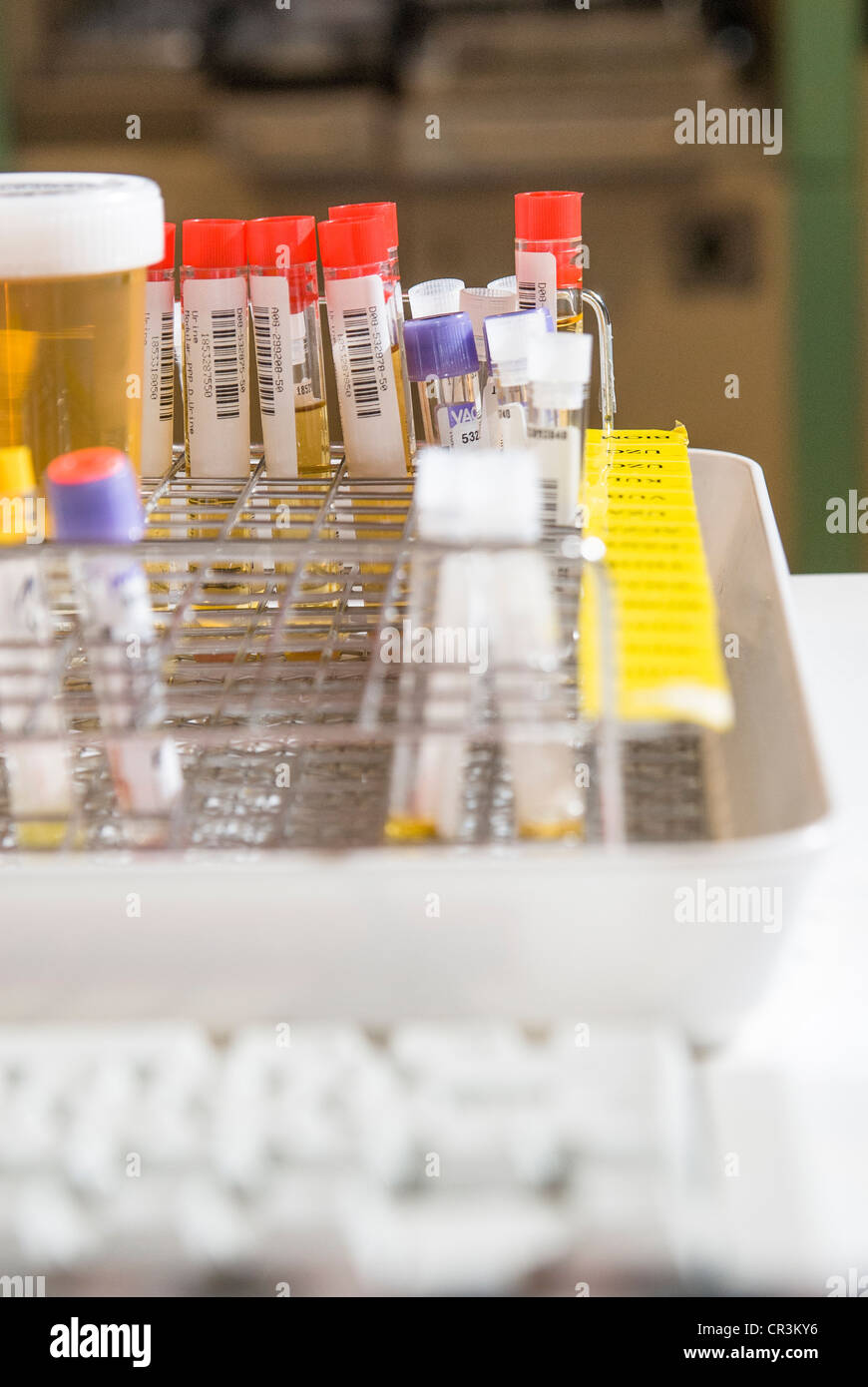 test tubes in laboratory Stock Photo - Alamy