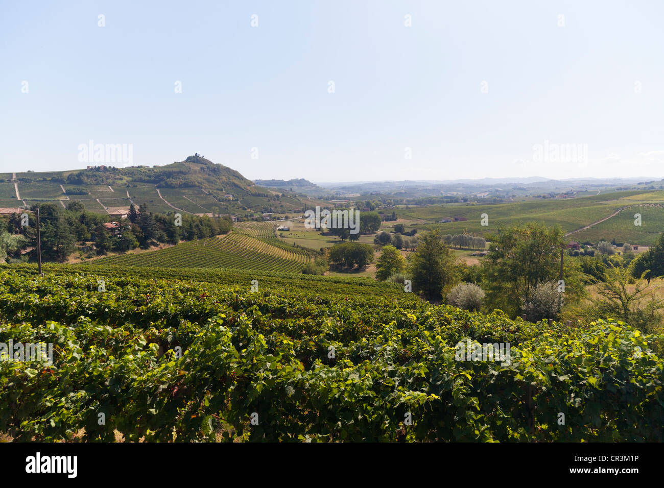 Asti wine hi-res stock photography and images - Alamy