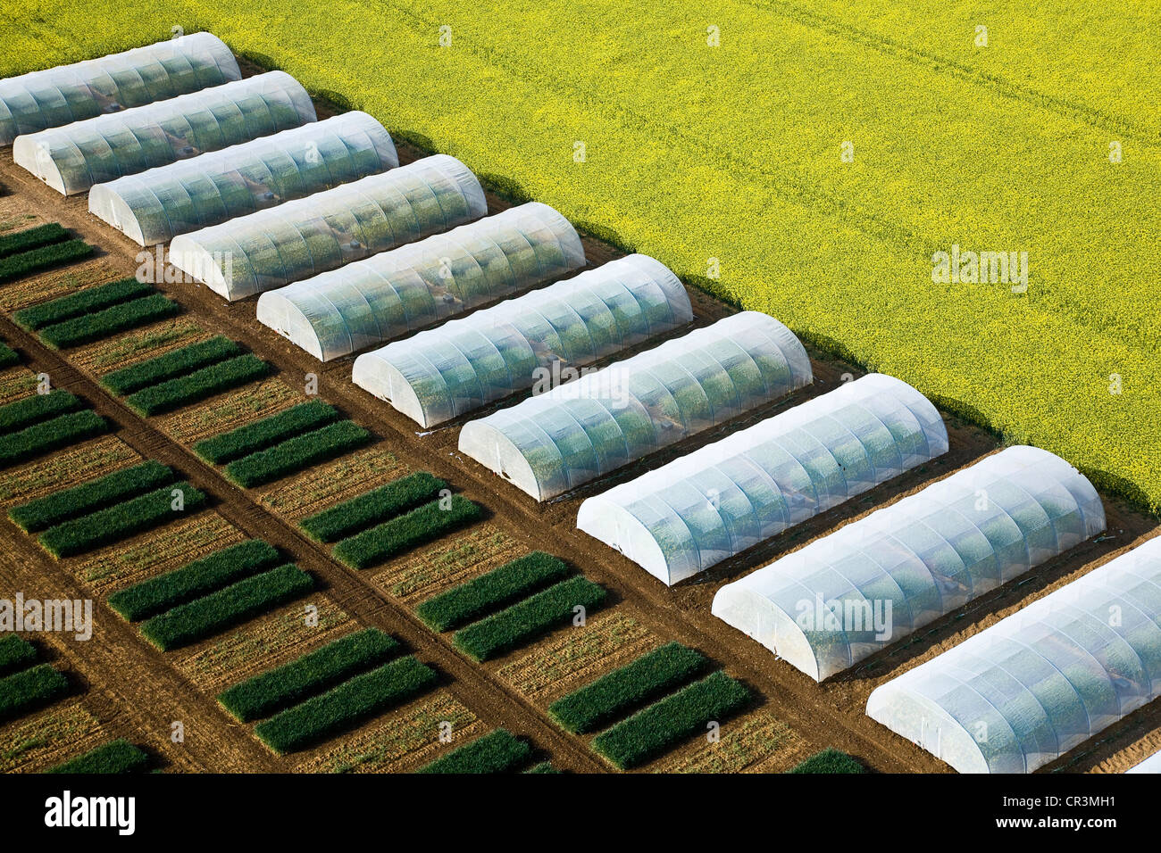 Plant trials hi-res stock photography and images - Alamy