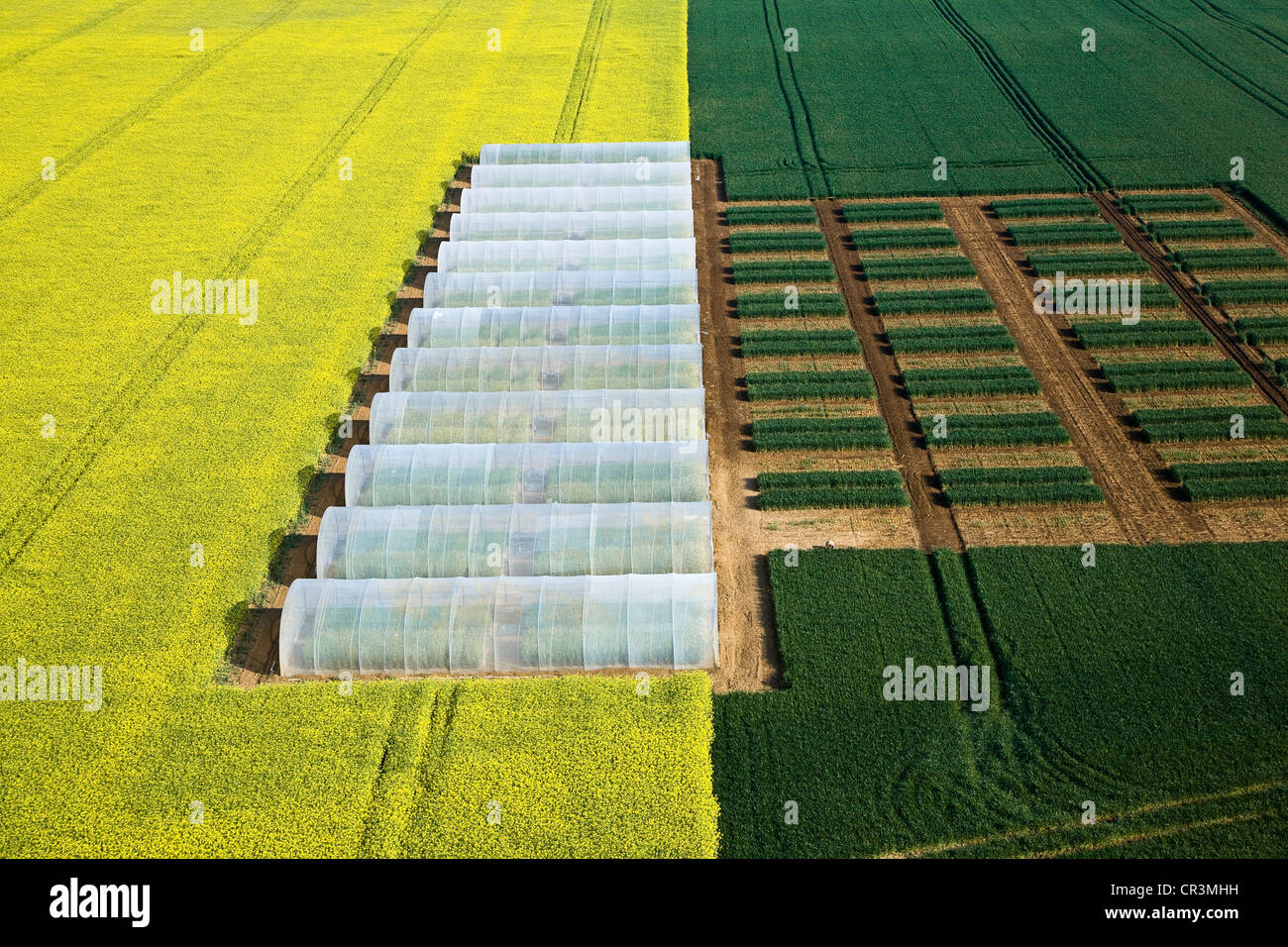 Plant Trials High Resolution Stock Photography and Images - Alamy