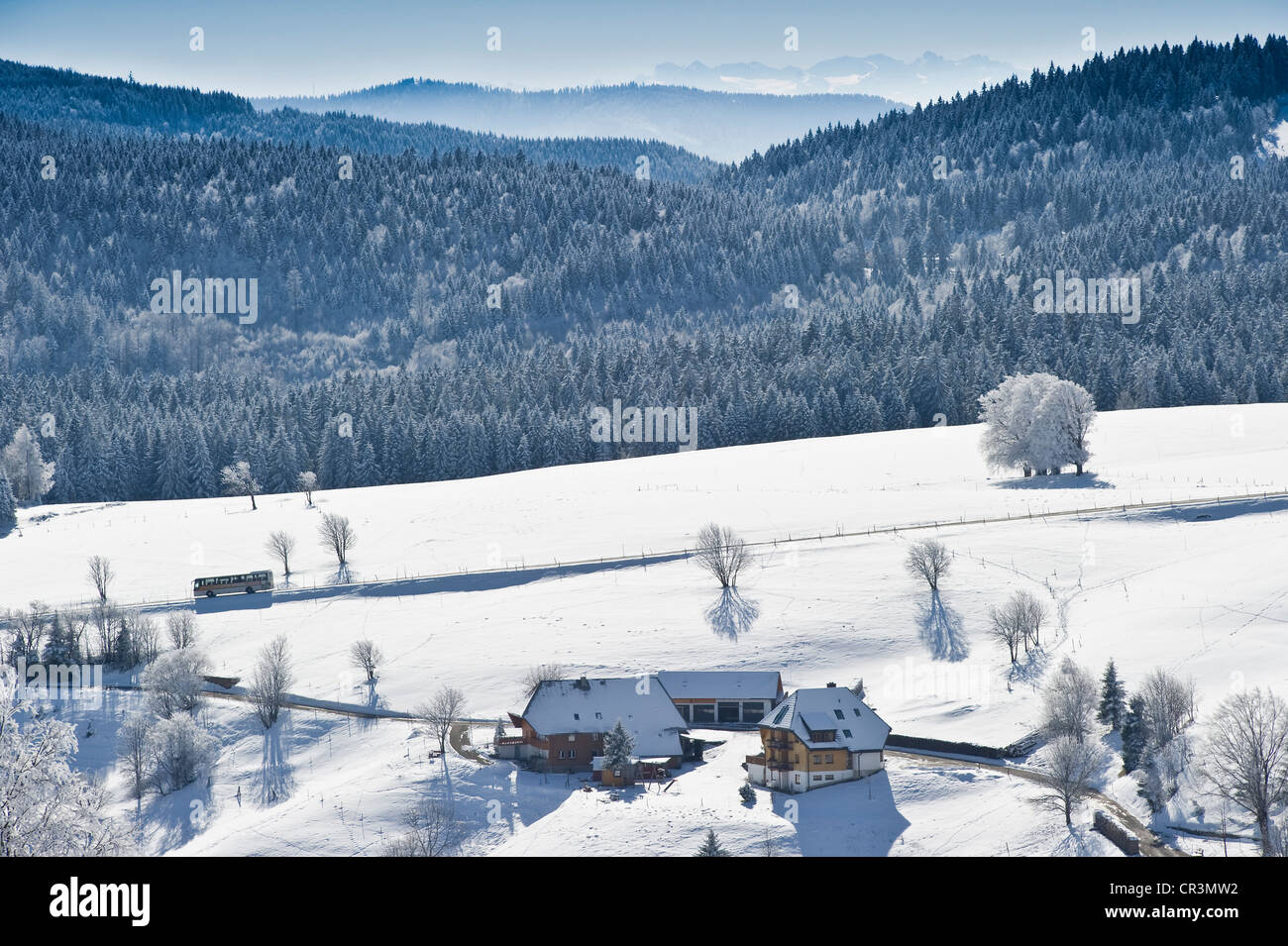 Hofsgrund, the Alps at the back, near Freiburg in Breisgau, Black ...