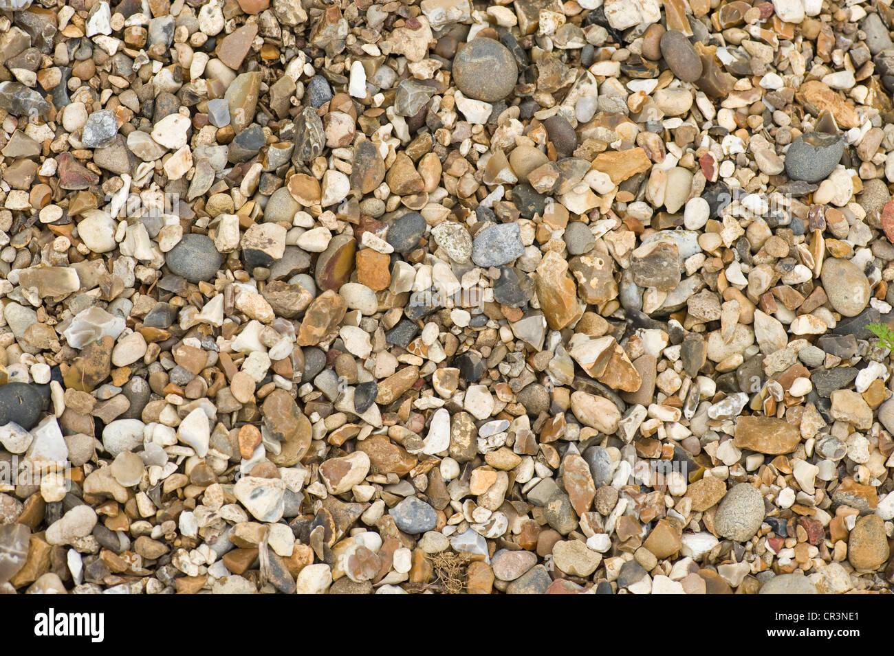 Gravel stones hi-res stock photography and images - Alamy
