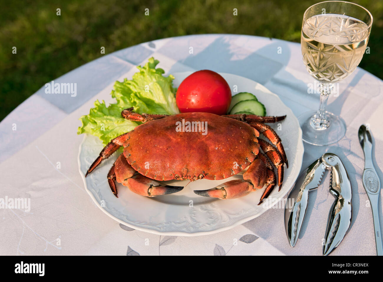 Crab on a plate Stock Photo - Alamy