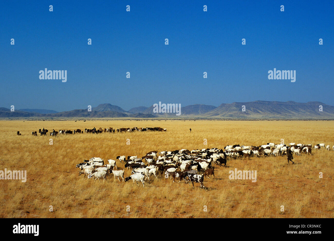 Marienfluss hi-res stock photography and images - Alamy
