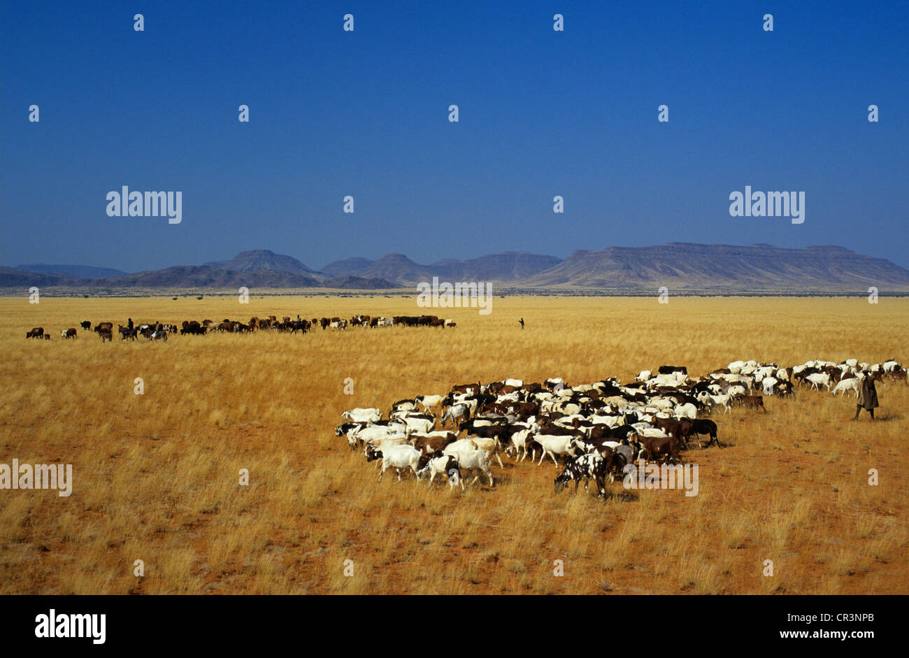 Marienfluss hi-res stock photography and images - Alamy