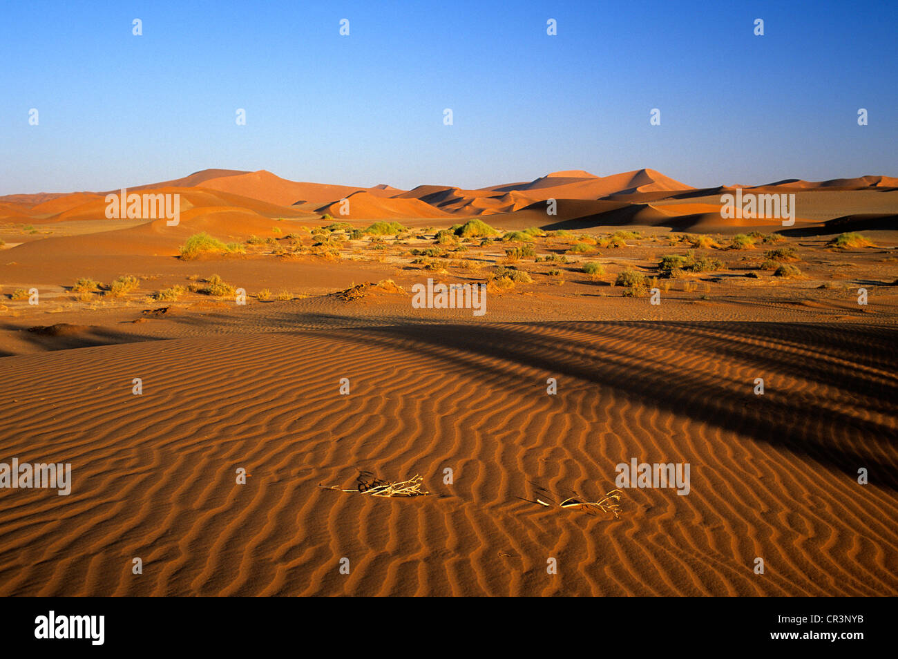 Namibia, Hardap Region, Namib desert, Namib Naukluft National Park ...