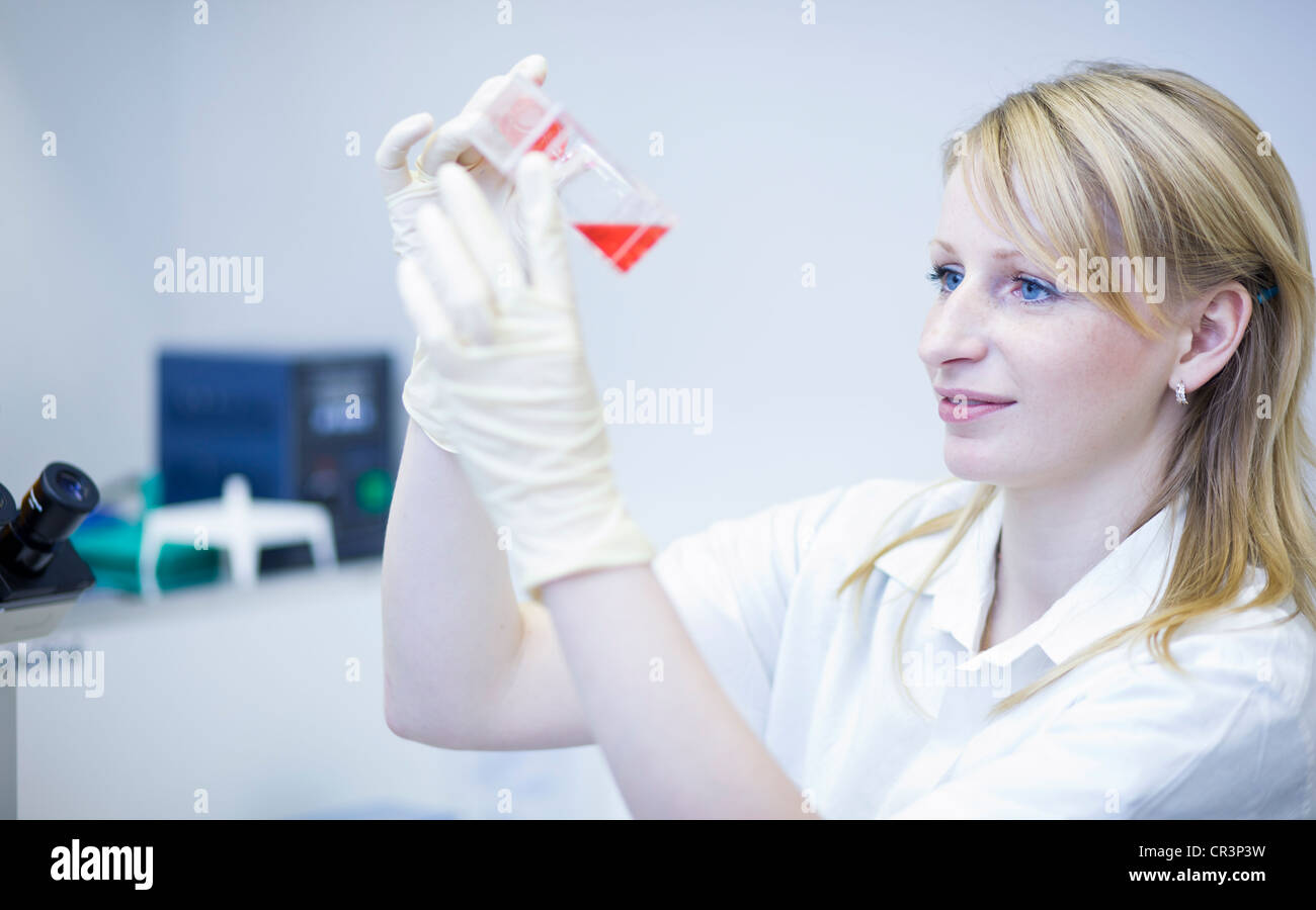 portrait of a female researcher doing research in a lab (color toned ...