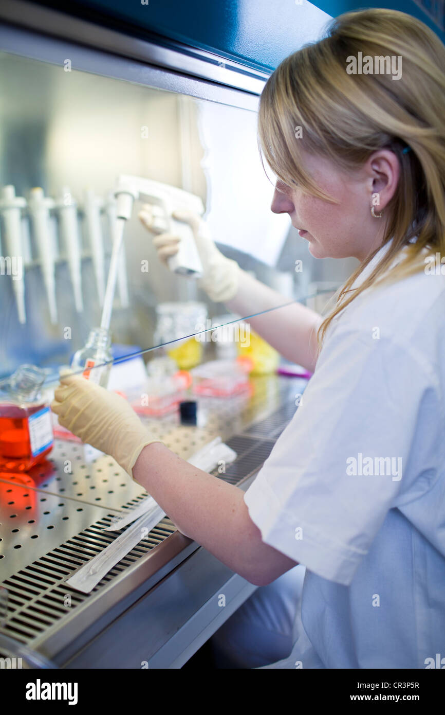 portrait of a female researcher doing research in a lab (color toned ...