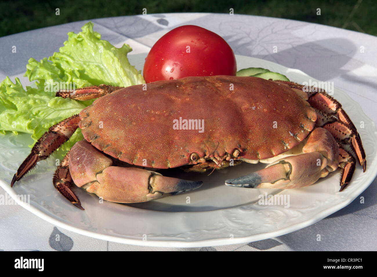 Crab on a plate Stock Photo - Alamy