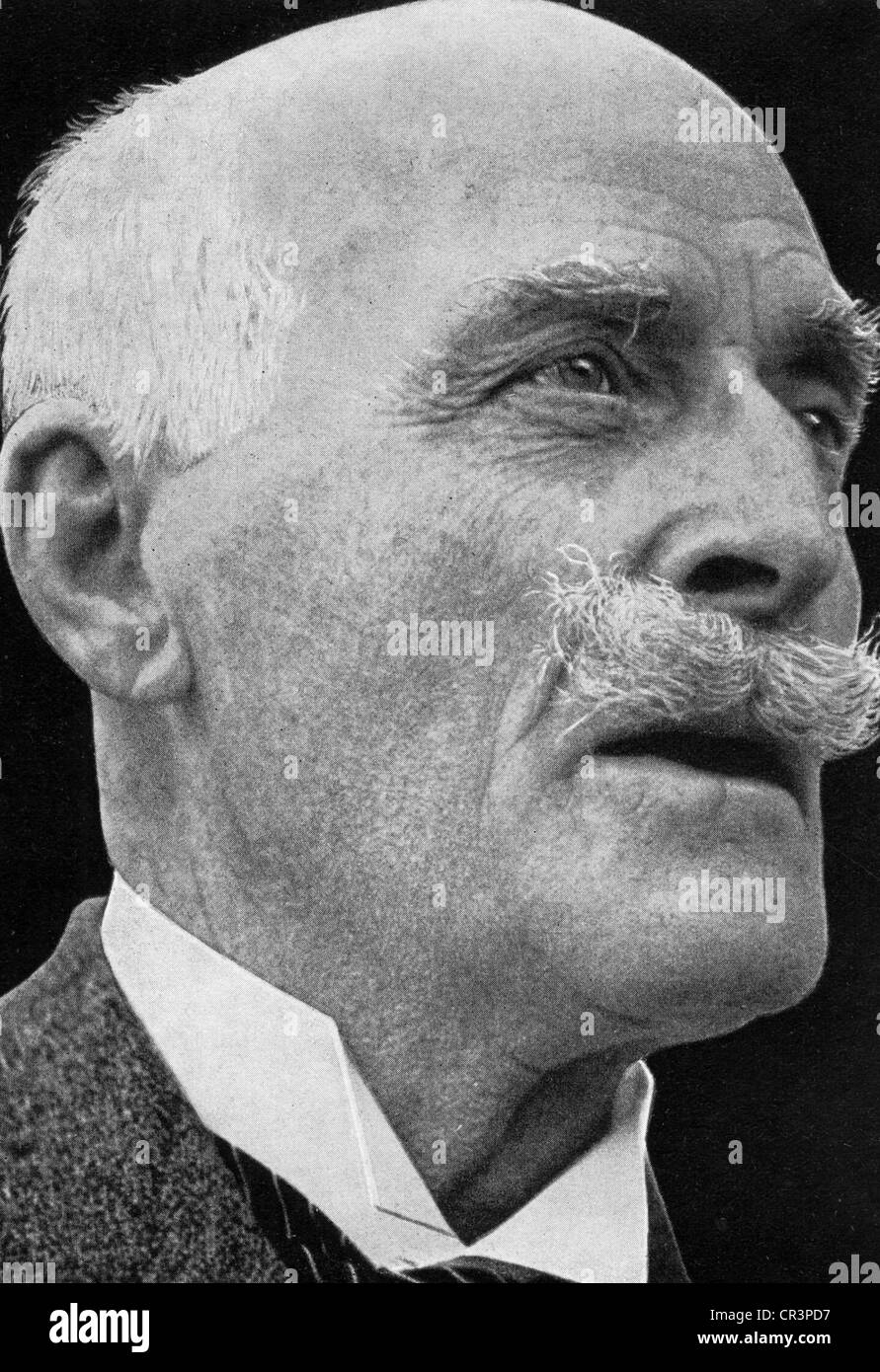 Knut High Resolution Stock Photography and Images - Alamy