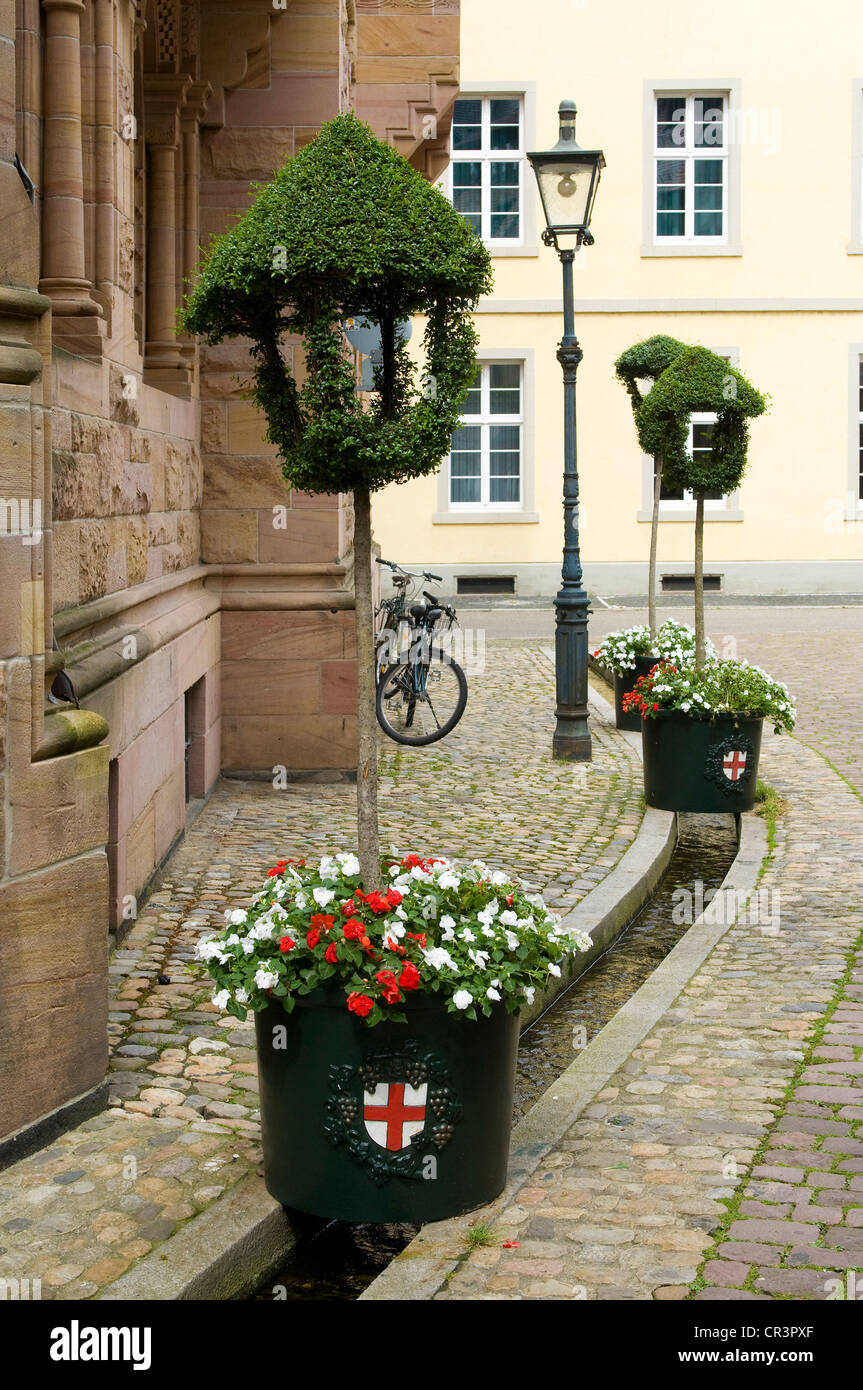 Historic district with "Baechle", a small water-filled runnel, Freiburg ...