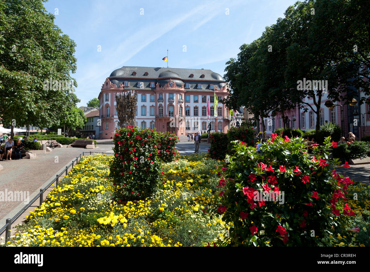 Osteiner High Resolution Stock Photography and Images - Alamy