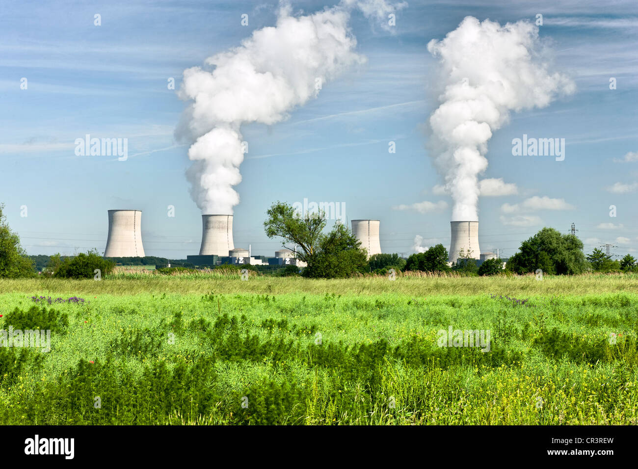 Green grass in front of nuclear reactors Stock Photo - Alamy