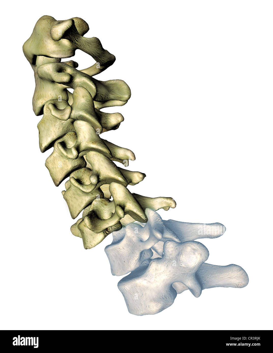 C6 c7 hi-res stock photography and images - Alamy