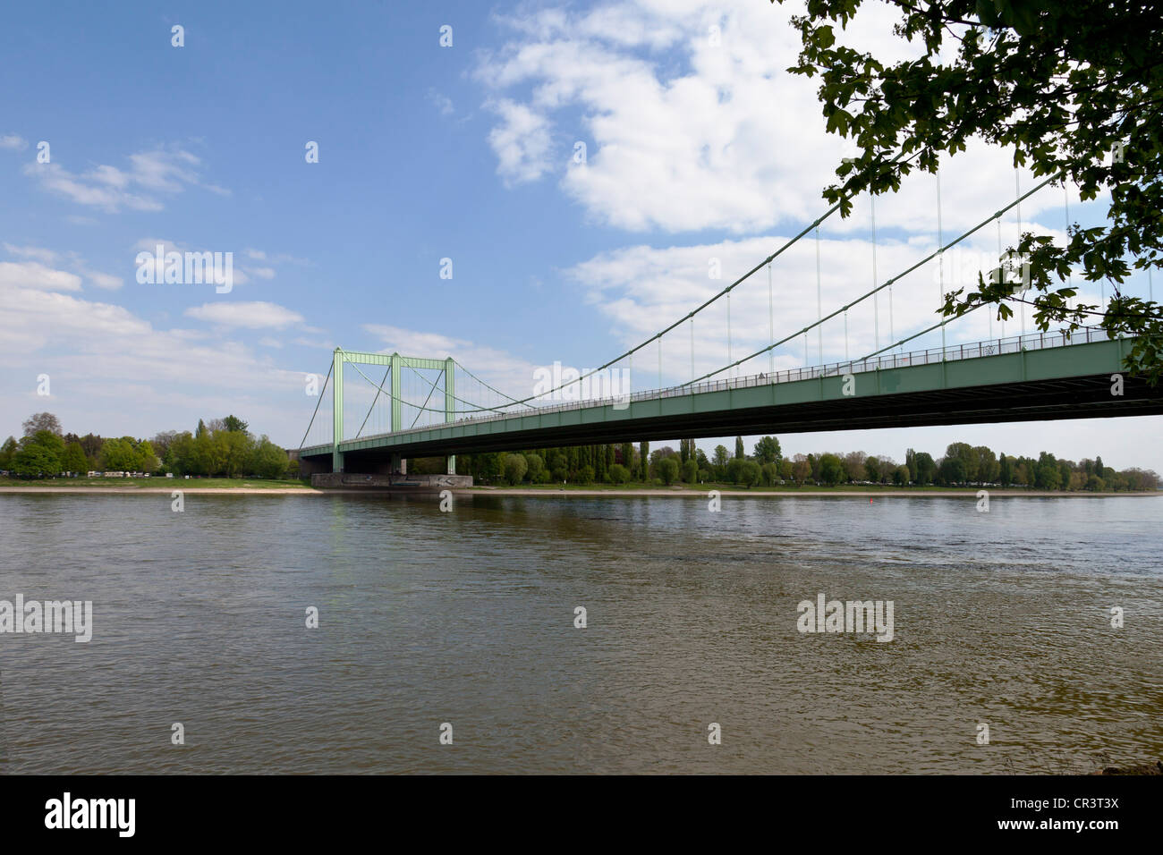 Rodenkirchen motorway bridge over the Rhine, Rodenkirchen quarter ...