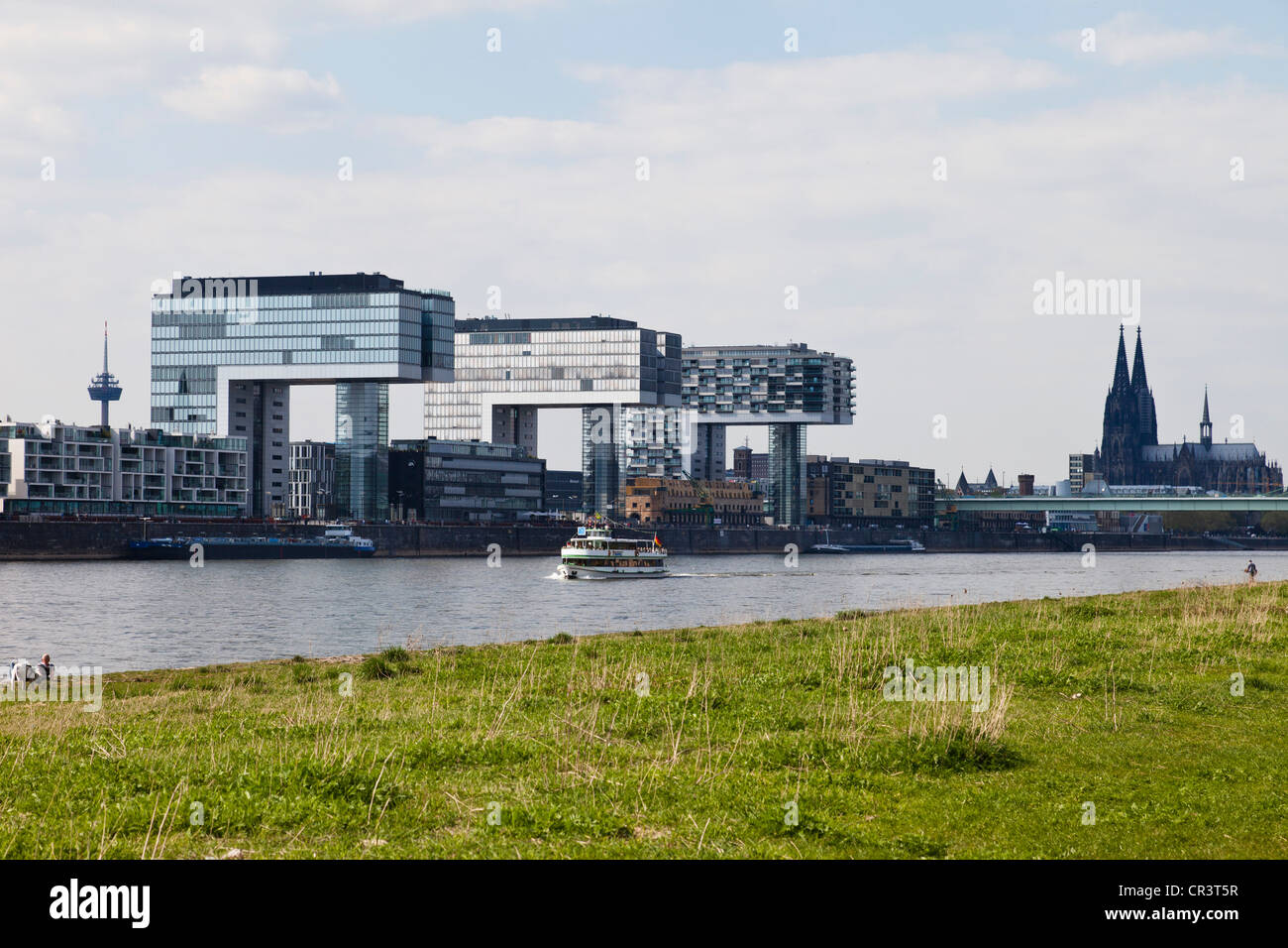 View across polder meadows to the left bank of the Rhine with crane ...